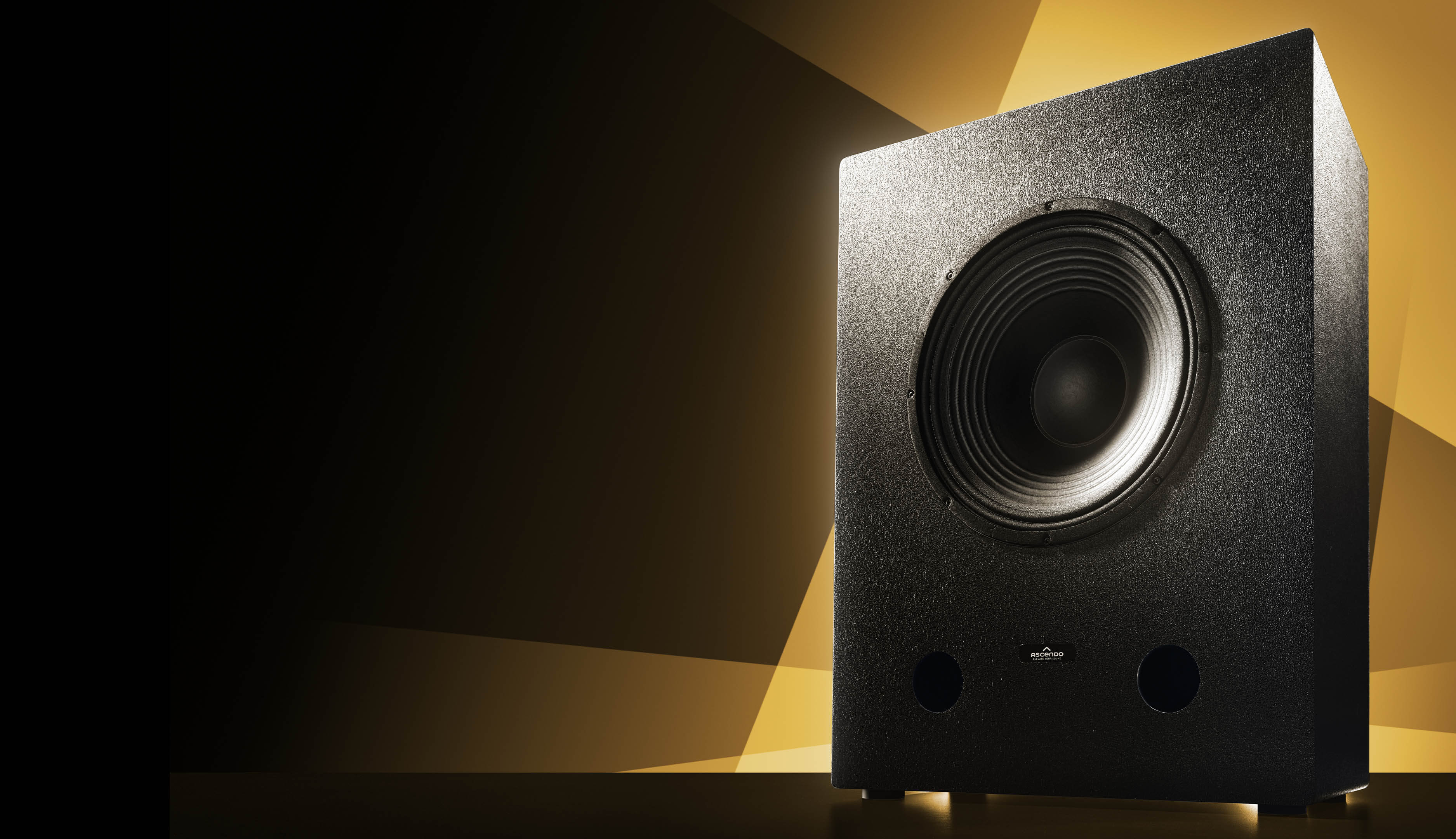 THE15 SUB PASSIVE VENTED